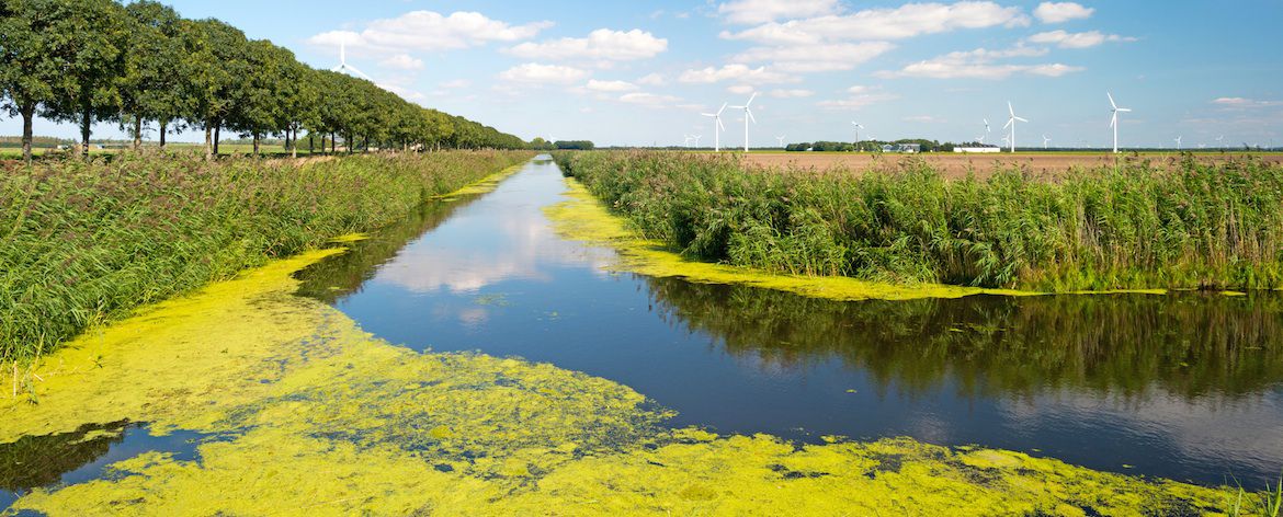 Bijzondere overnachtingen Flevoland | Supertrips Nederland